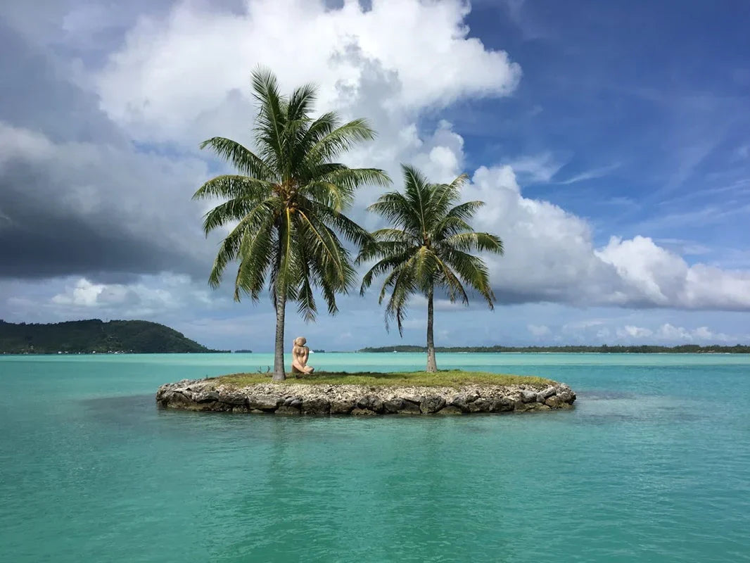 Reglas Básicas Para Sobrevivir En Una Isla Desierta Sandiario 5819